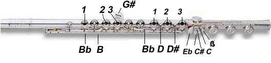 Flute Fingering Chart - Note c4 - 8notes.com