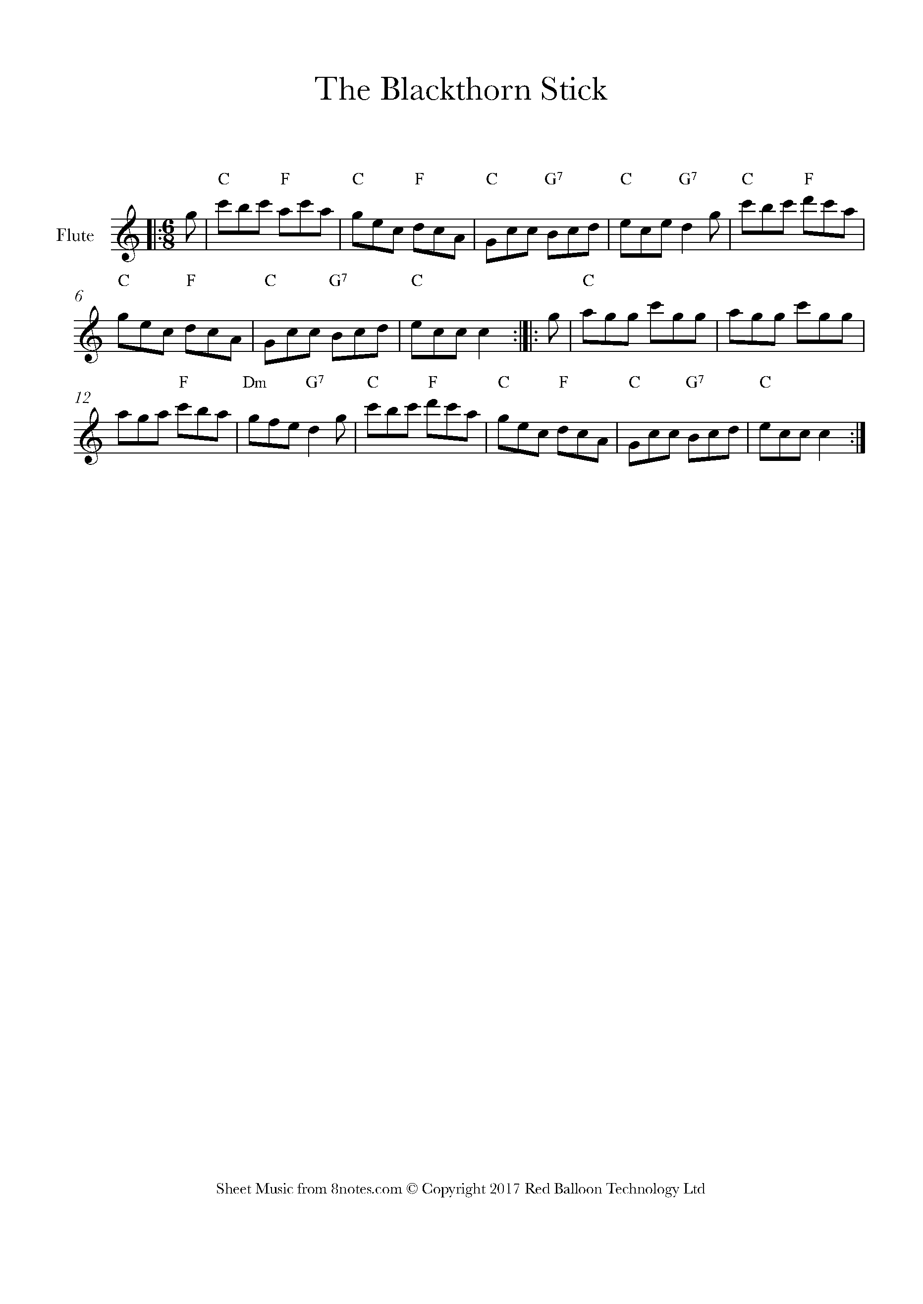 The Blackthorn Stick (Irish Jig) Sheet music for Flute - 8notes.com