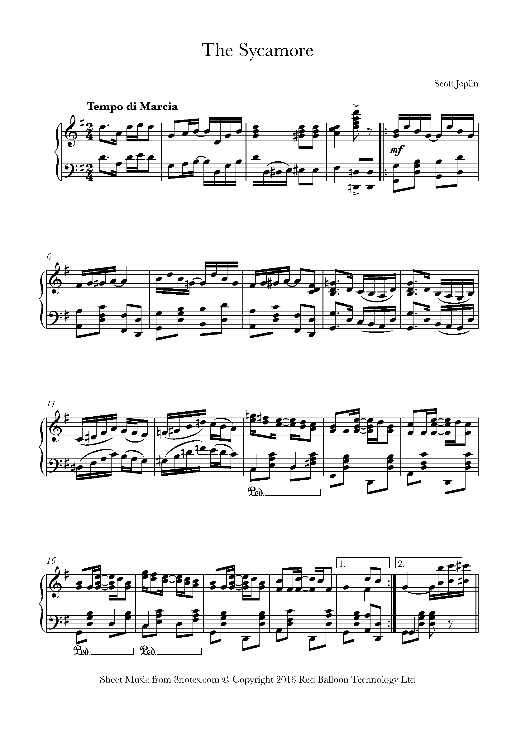 Scott Joplin - The Sycamore Sheet music for Piano - 8notes.com