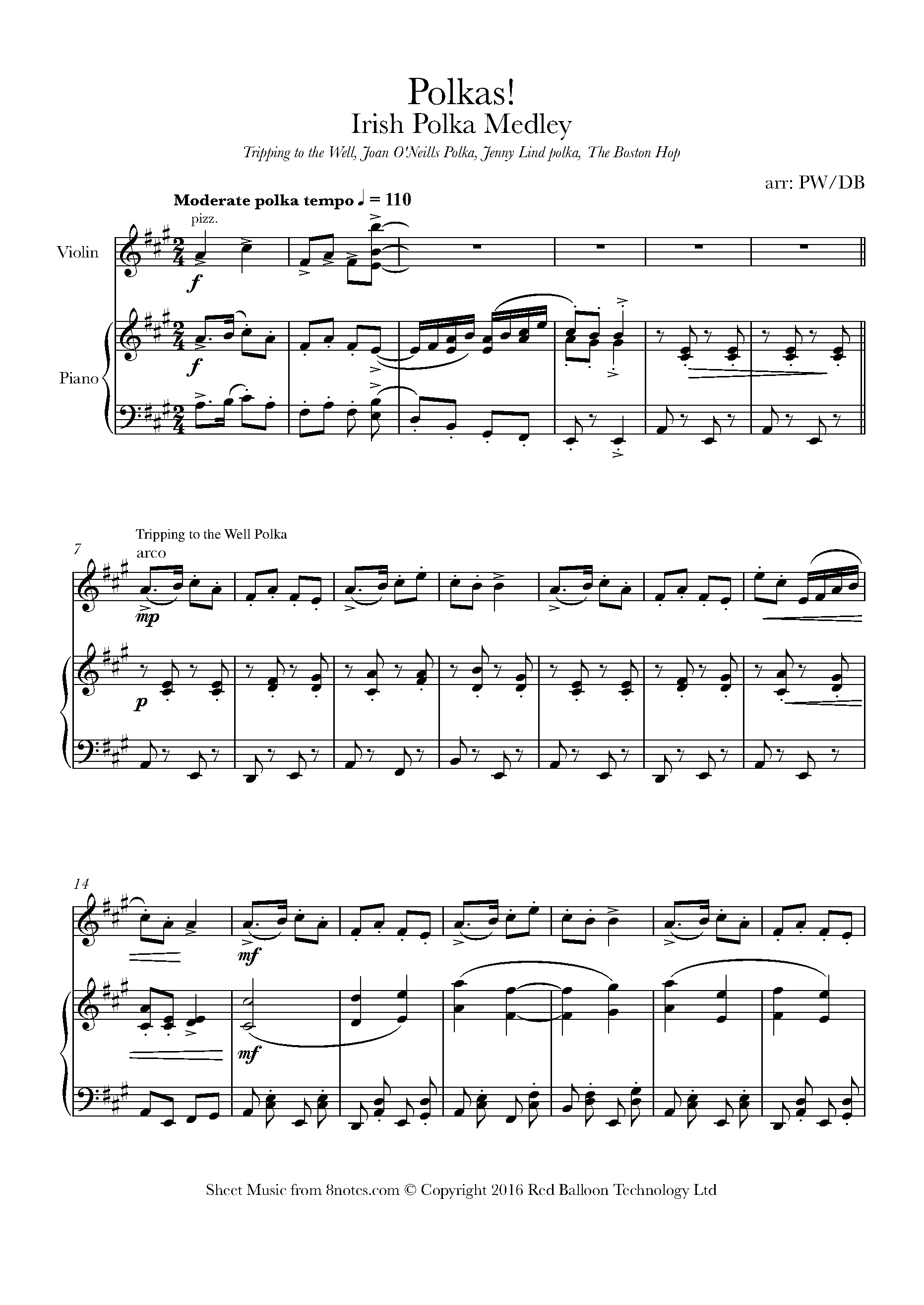 Irish Polka Medley (Tripping to the Well, Joan O'Neills Polka, Jenny ...