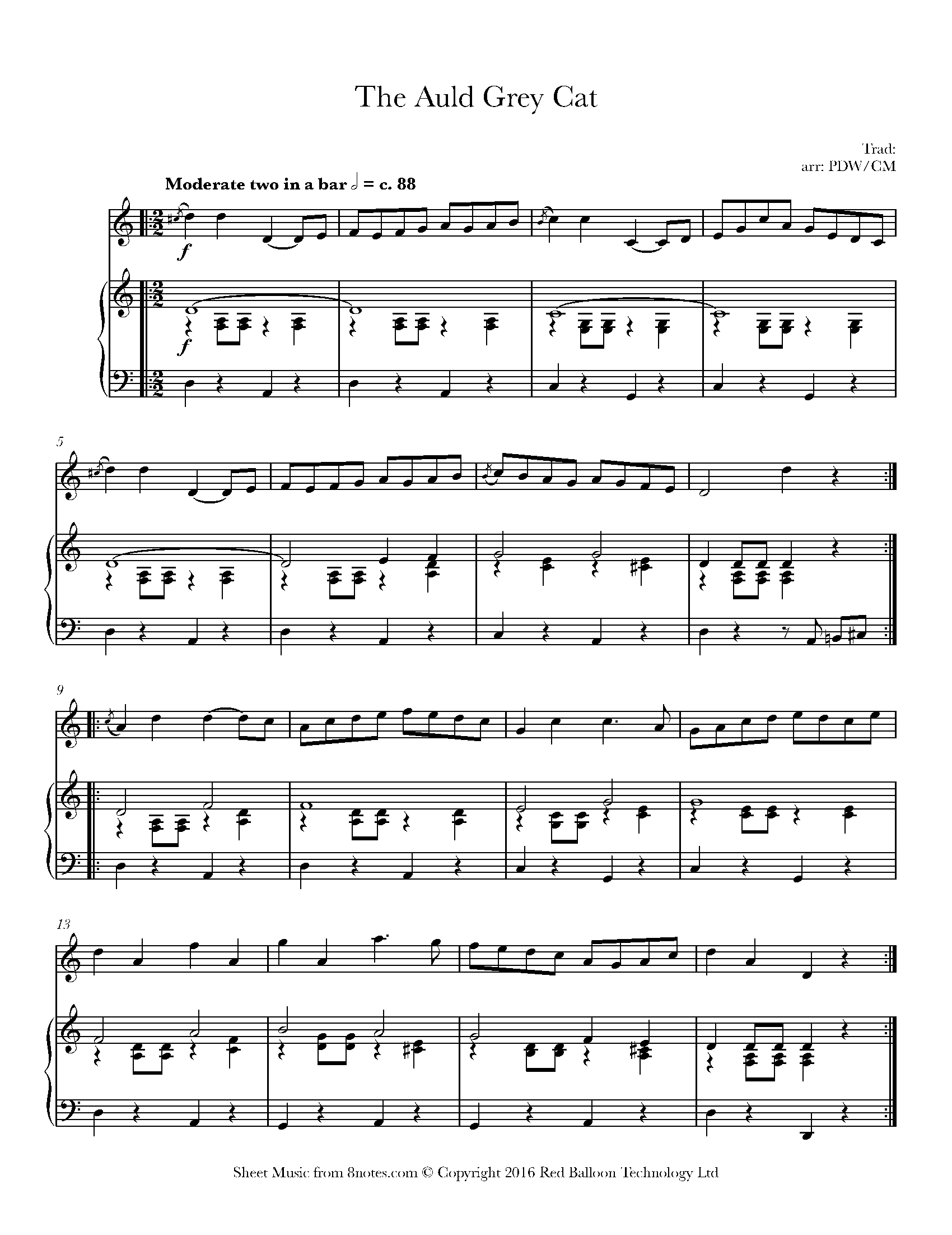 The Auld Grey Cat Sheet music for Violin - 8notes.com